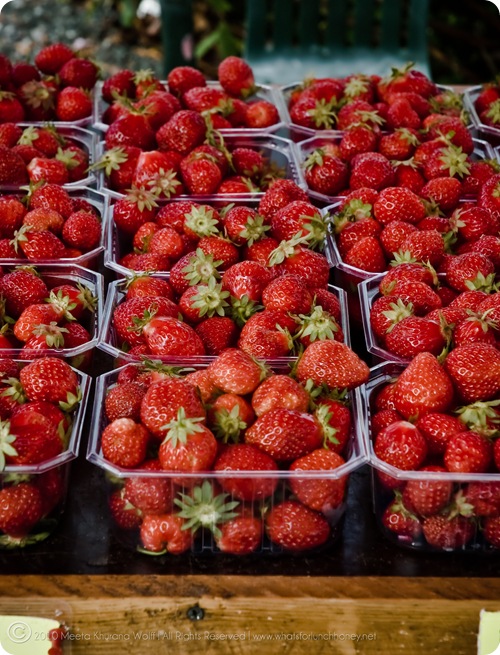 What's For Lunch Honey?: Serendipity in Norway Part 1 - Mandal ...